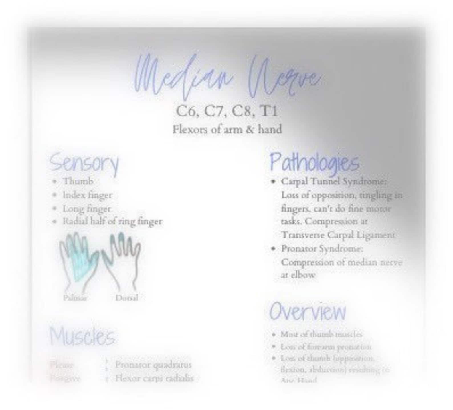 Radial-ulnar-median Nerve Reference Cheat Sheet: Upper Extremity ...