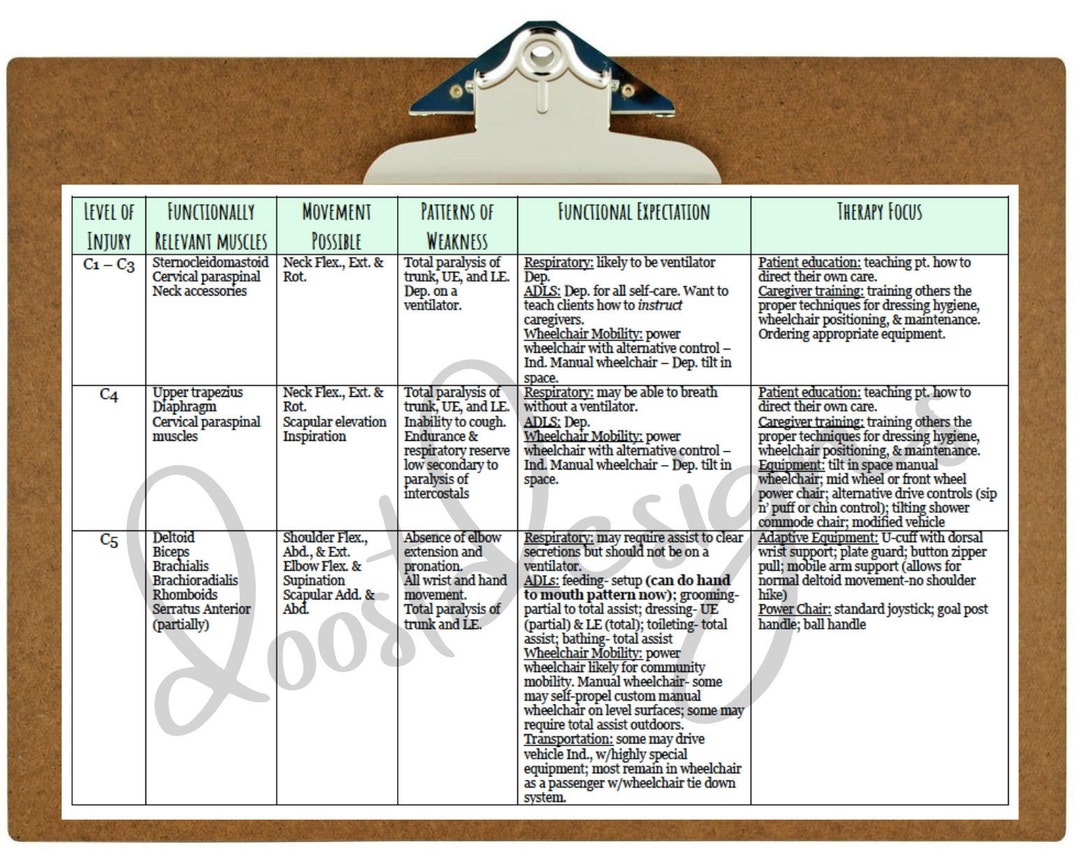 Spinal Cord Injuries (SCI) Reference Cheat Sheet (rehab/therapy Medical ...