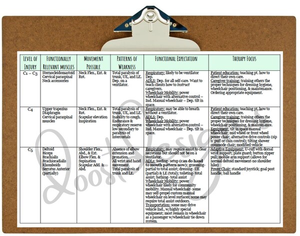 Range of Motion Chart for Rehabilitation Occupational Therapy and OT ...