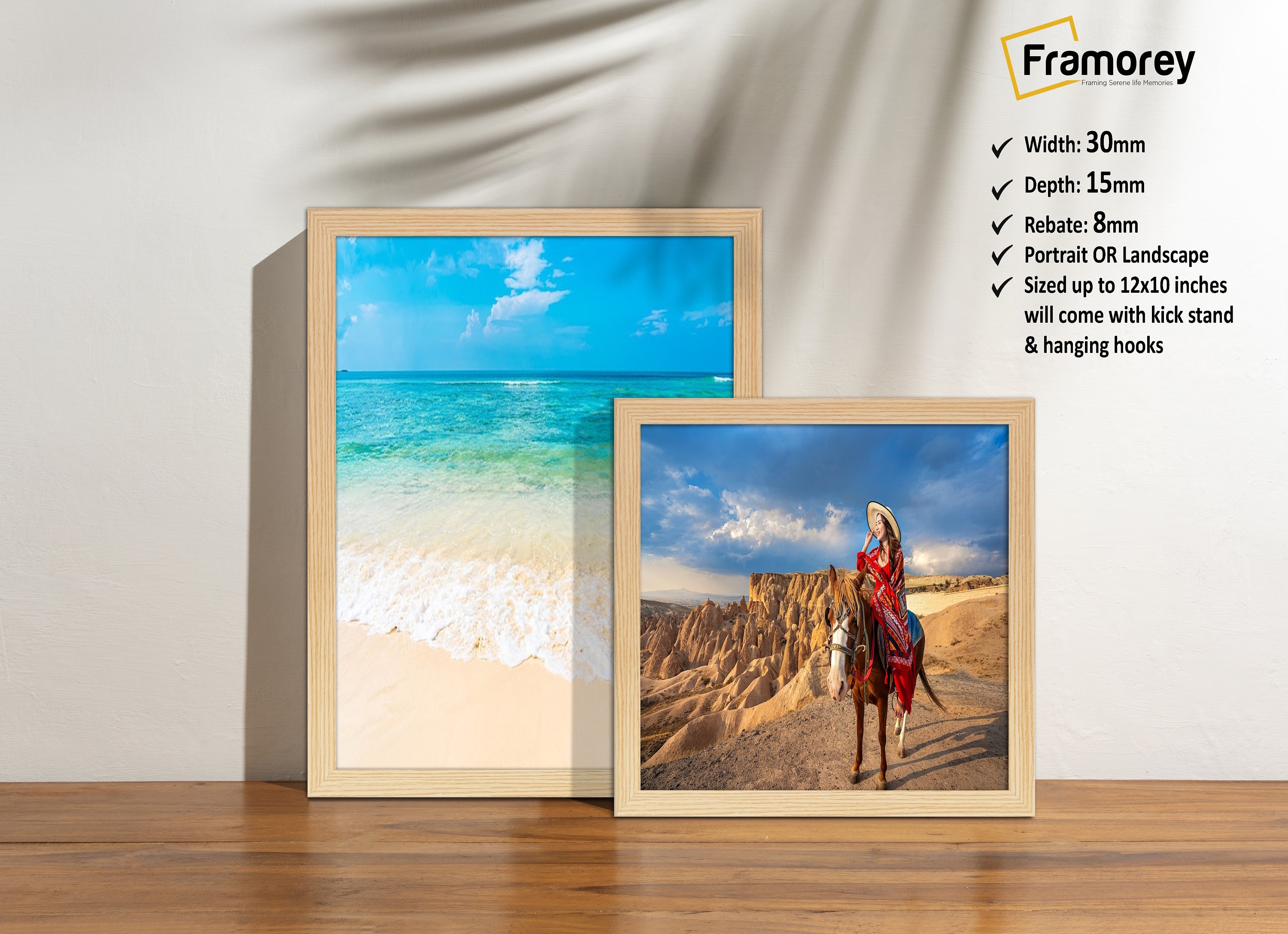 A1 Poster Size Inches