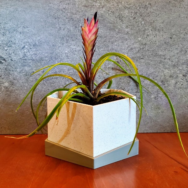Slanted Planter - Etsy