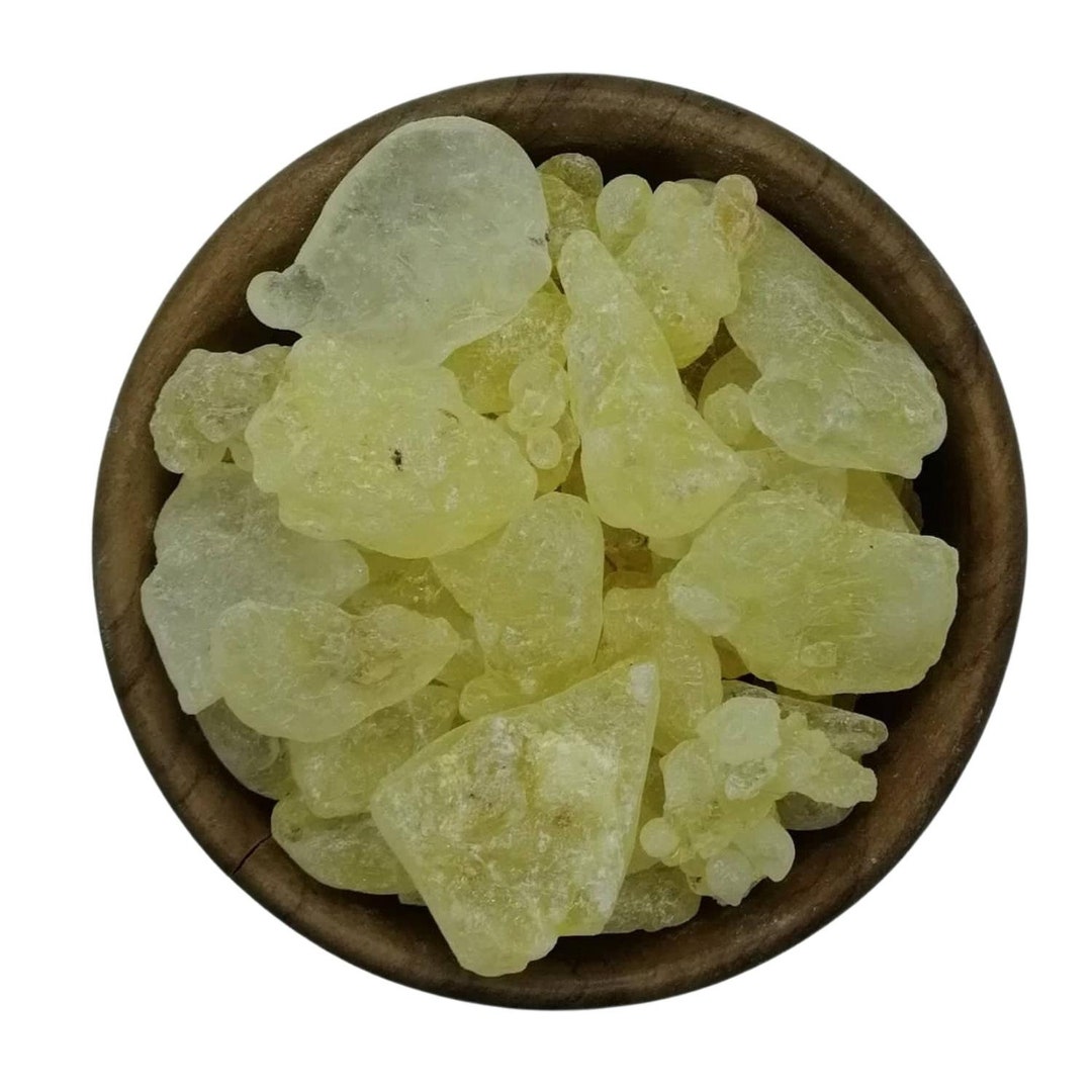 Original Thick Chios Mastic Resin Mastiha Masticha Pistacia Lentiscus ...