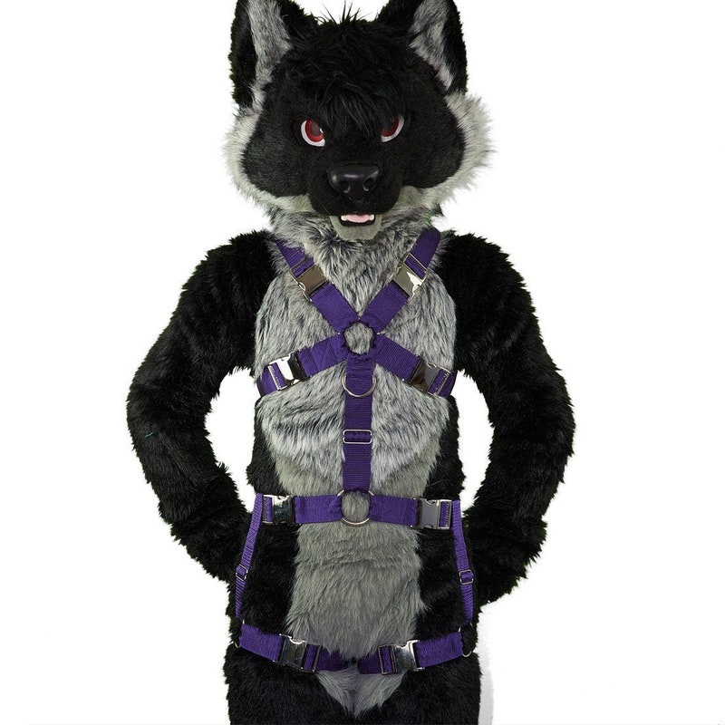 Full Body Fursuit - Etsy