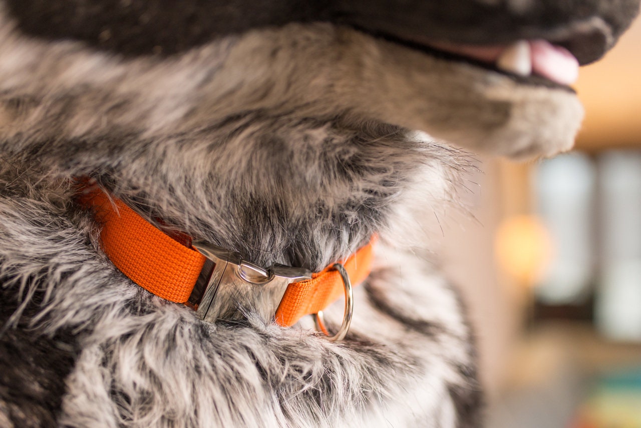 Fursuit Collar Furry Collar - Etsy