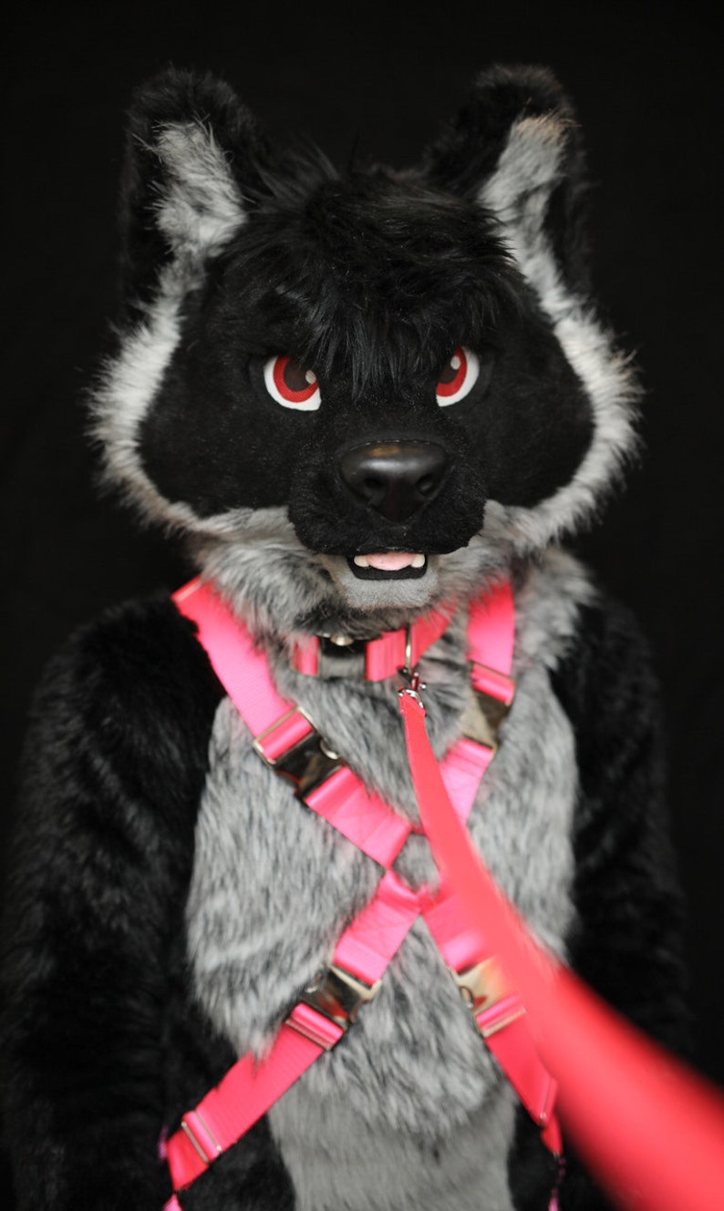Leash for Furry Collar Fursuit Collar - Etsy