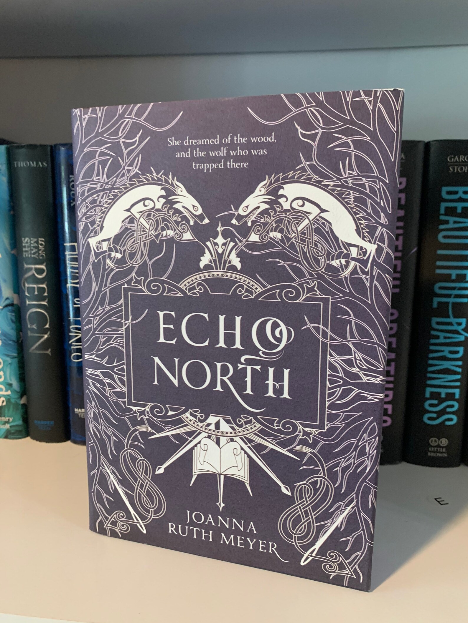 Echo North by Joanna Ruth Meyer with custom sprayed pages | Etsy
