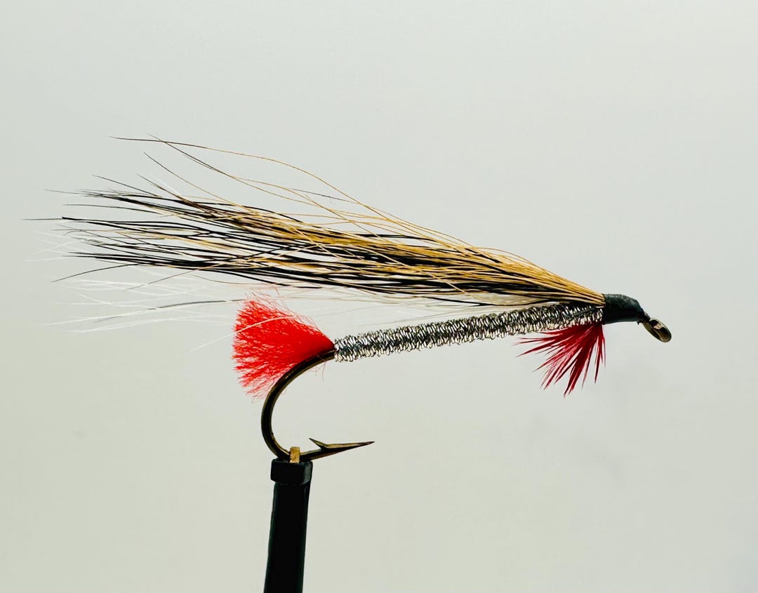 Black-nose Dace - Etsy