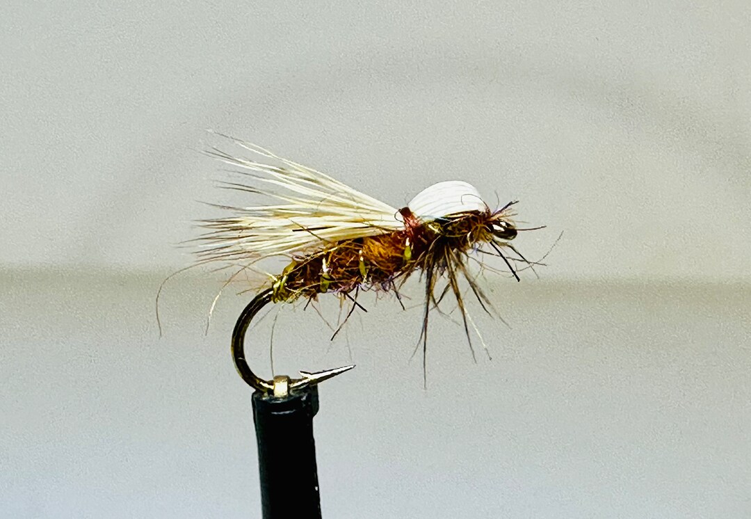 Adult Caddis Mk.iii - Etsy