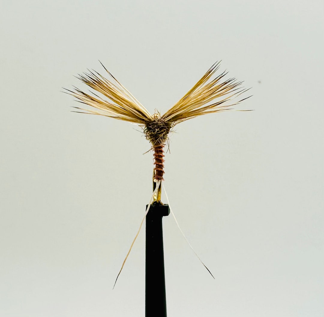 Grey Fox Spinner - Etsy