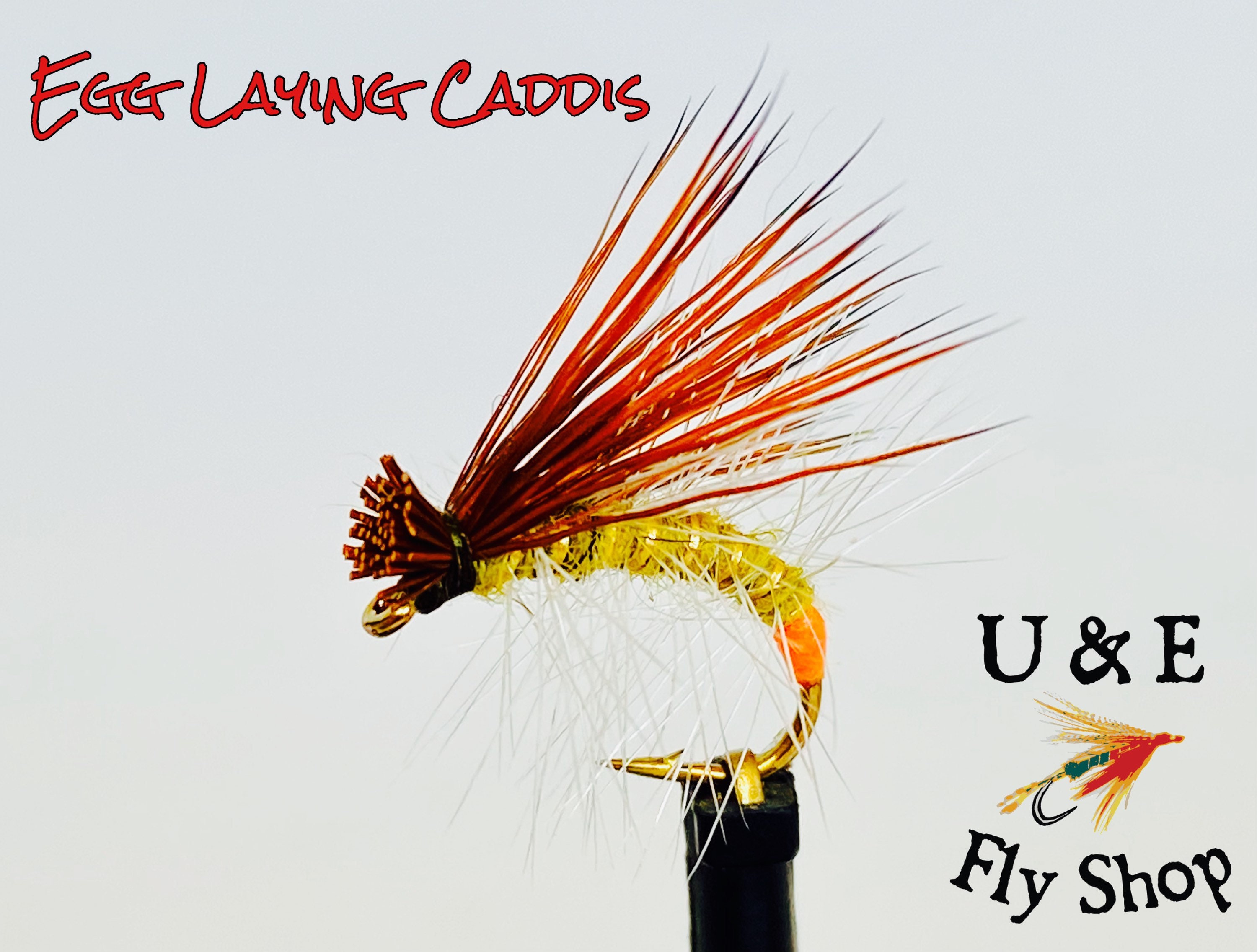 Egg Laying Caddis - Etsy