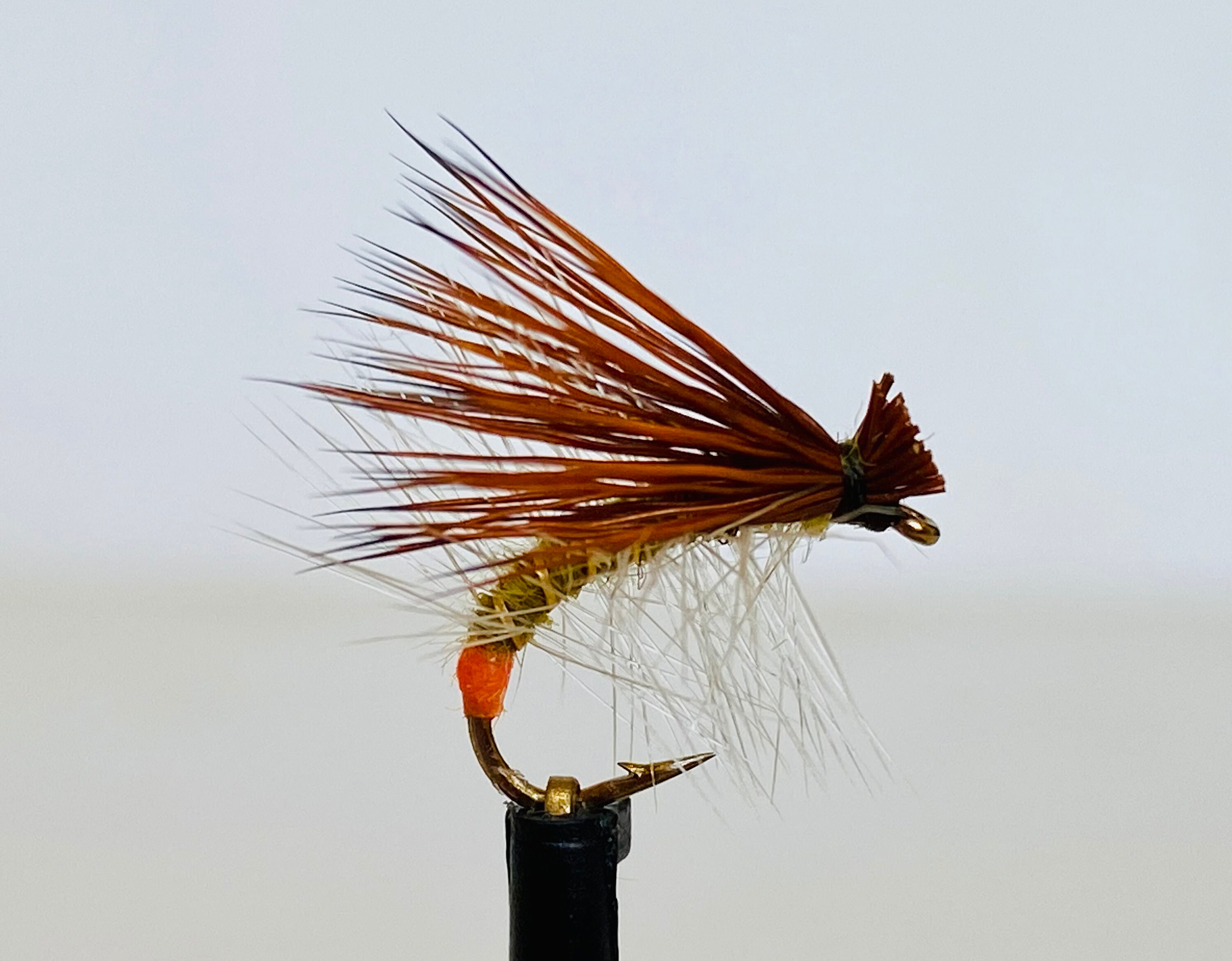 Egg Laying Caddis - Etsy