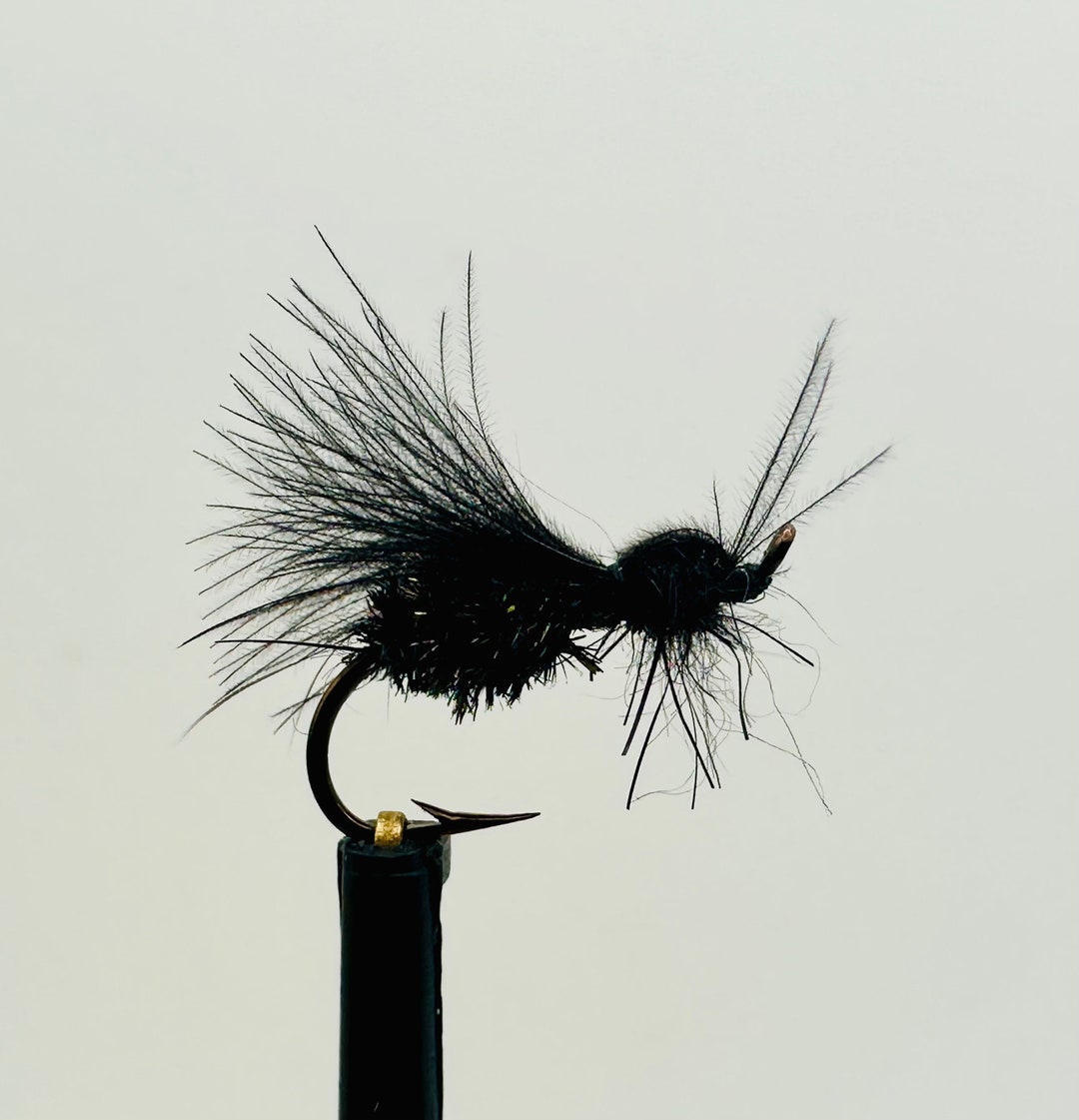 CDC Flying Ant - Etsy