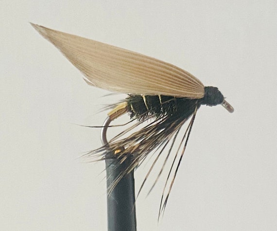 Leadwing Coachman - Etsy