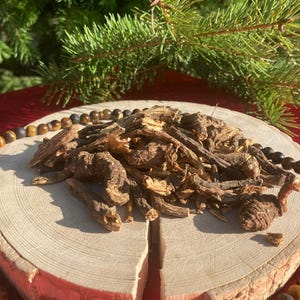 OSHA, Bear Root, Ligusticum Porteri - Etsy