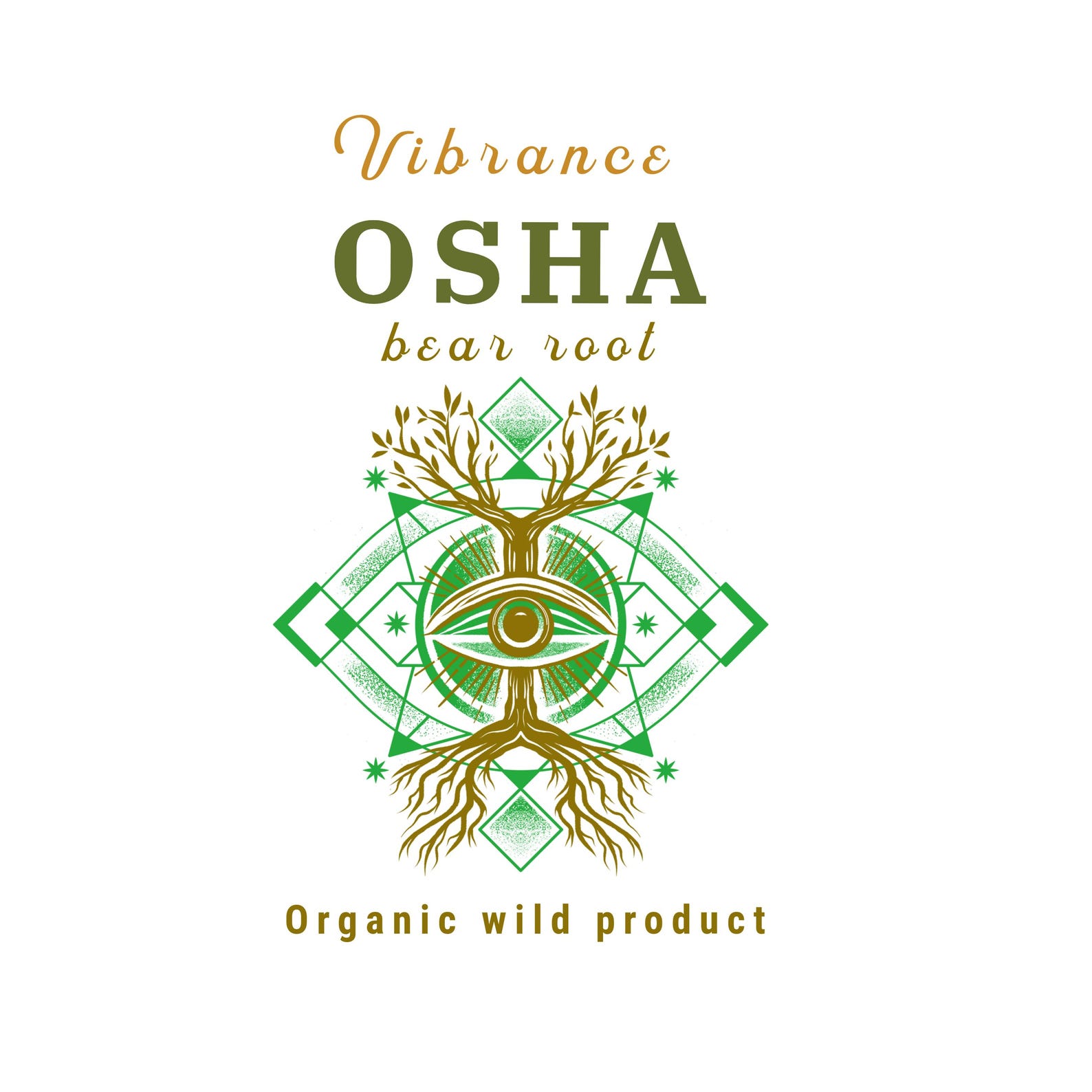 OSHA, Bear Root, Ligusticum Porteri - Etsy