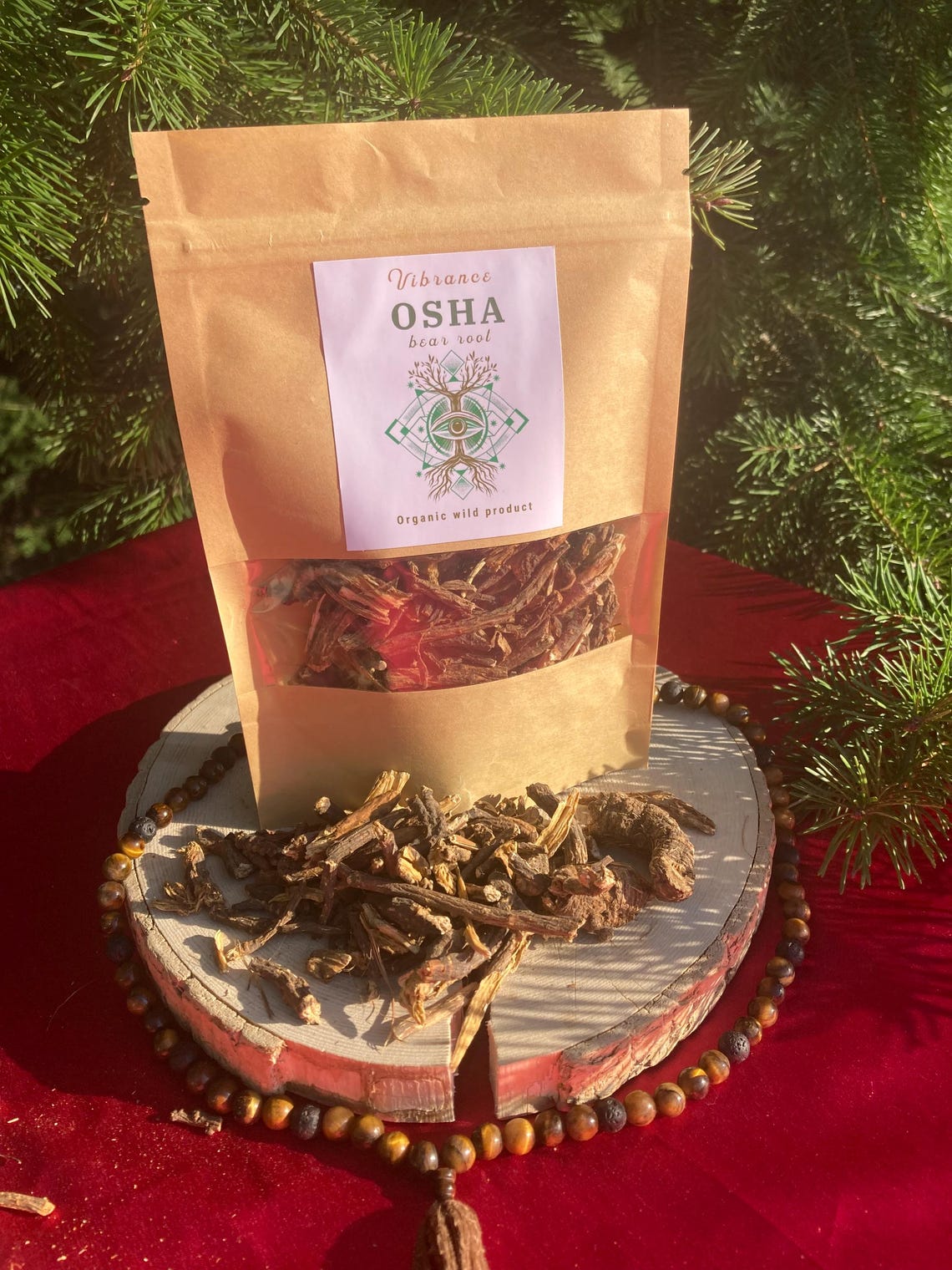 OSHA, Bear Root, Ligusticum Porteri - Etsy