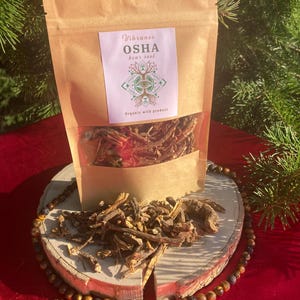 OSHA, Bear Root, Ligusticum Porteri - Etsy