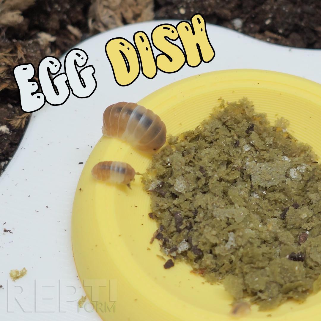 EGG SPLAT Isopod Food/water Bowl | Gecko Calcium Dish | 5 PACK | Easy ...