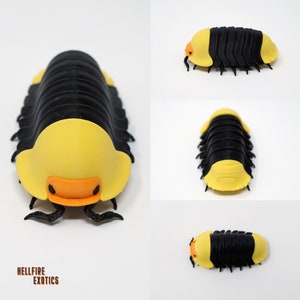 POD PALS CUTE Isopod Figurines - Etsy