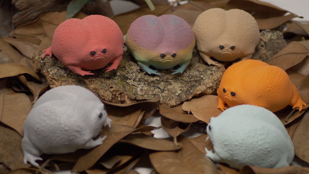 CUTE & CHUBBY Desert Rain Frog Figurines - Etsy