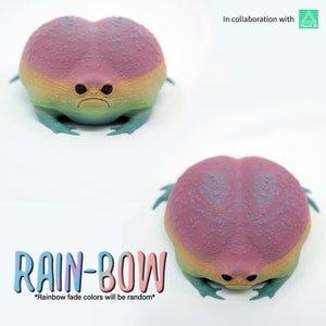CUTE & CHUBBY Desert Rain Frog Figurines - Etsy