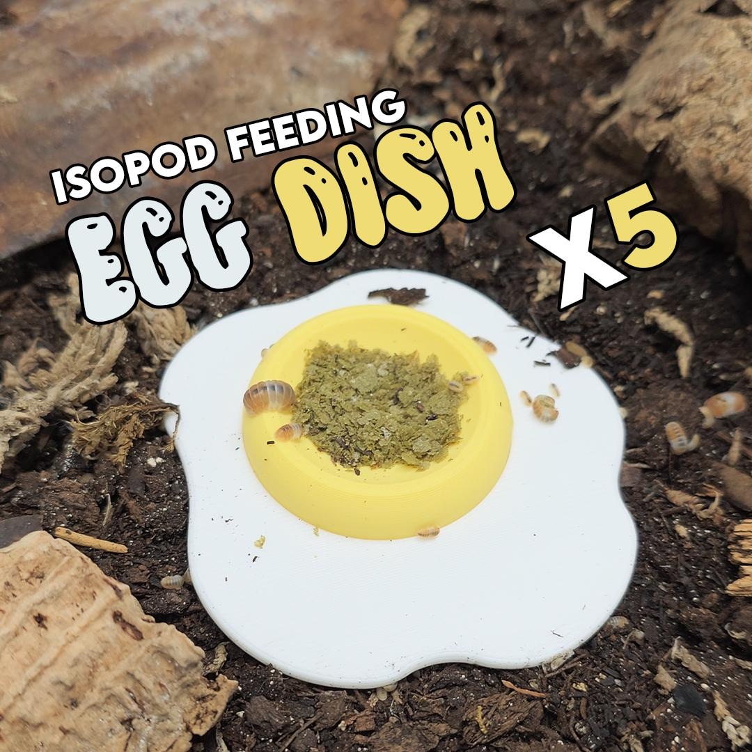 EGG SPLAT Isopod Food/water Bowl | Gecko Calcium Dish | 5 PACK | Easy ...