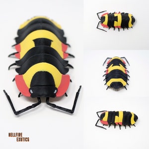 POD PALS CUTE Isopod Figurines - Etsy