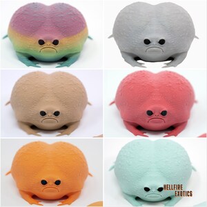 CUTE & CHUBBY Desert Rain Frog Figurines - Etsy