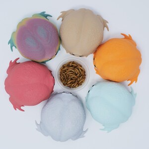 CUTE & CHUBBY Desert Rain Frog Figurines - Etsy