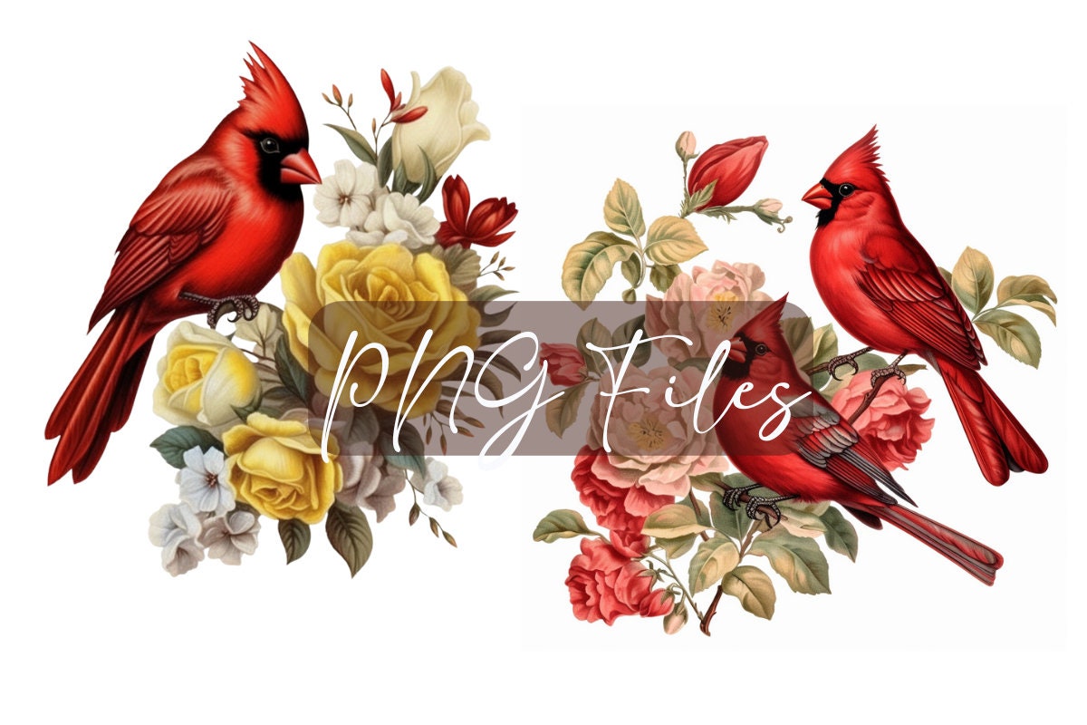 Red Cardinals and Yellow Roses PNG, Cardinal PNG, Roses PNG, 11 ...