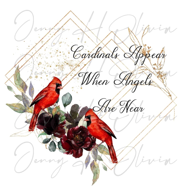 Cardinal, Red Cardinal PNG, Cardinals Appear When Angels Are Near, in ...