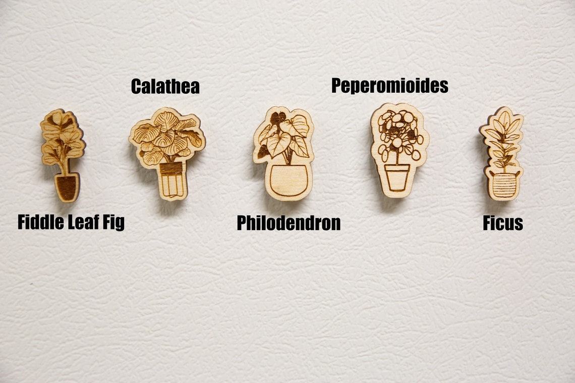 Plant Magnets Houseplant Magnet Plant LoverMagnet | Etsy