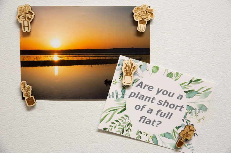 Plant Magnets Houseplant Magnet Plant Lovermagnet - Etsy