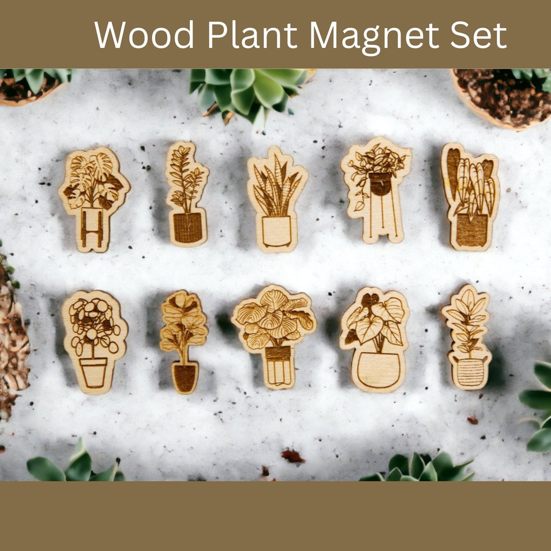 Wood Plant Magnets: Houseplant Lover Gift, Botanical Decor - Etsy