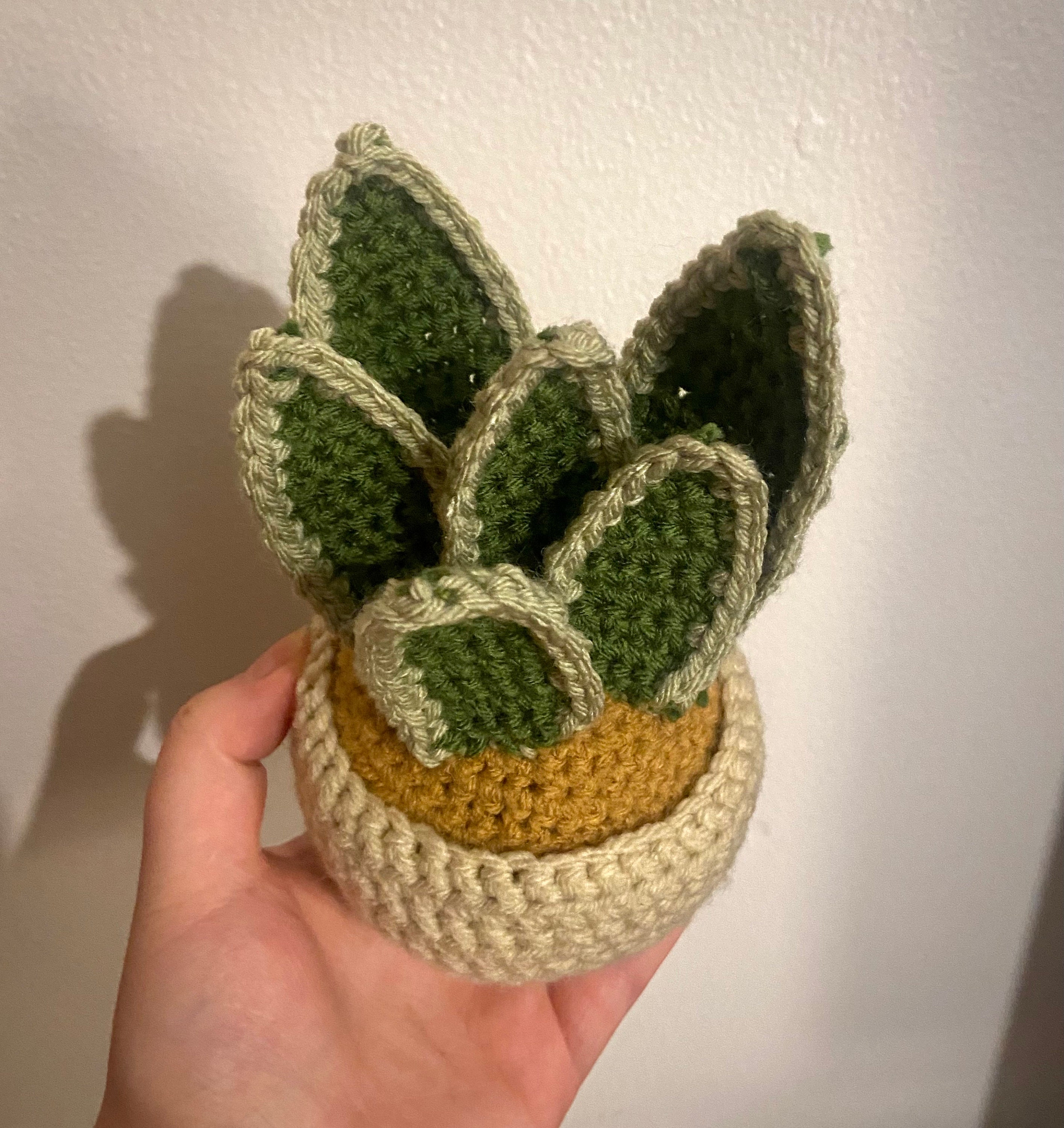 Handmade Crochet Snake Plant - Etsy