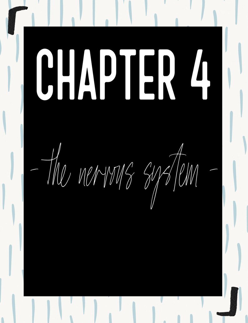 8 Pages MCAT Biology Review Notes Chapter 4 the Nervous System - Etsy ... 8 Pages MCAT Biology Review Notes Chapter 4 the Nervous System - Etsy ...