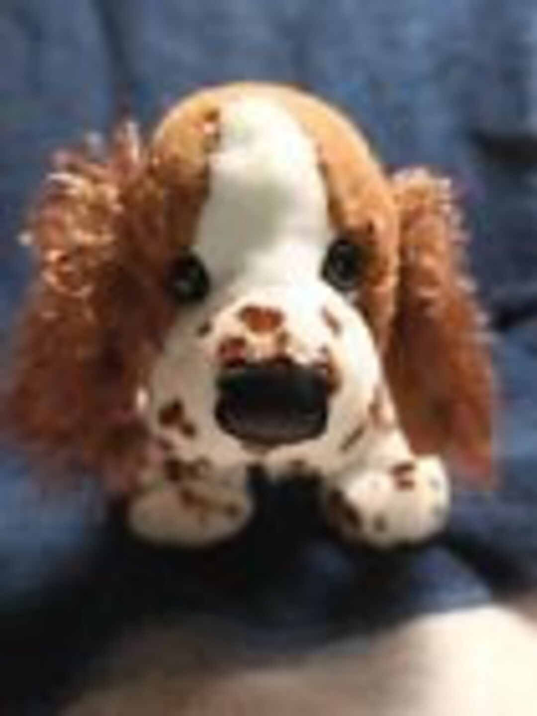 Webkinz Springer Spaniel by Ganz, Retired - Etsy