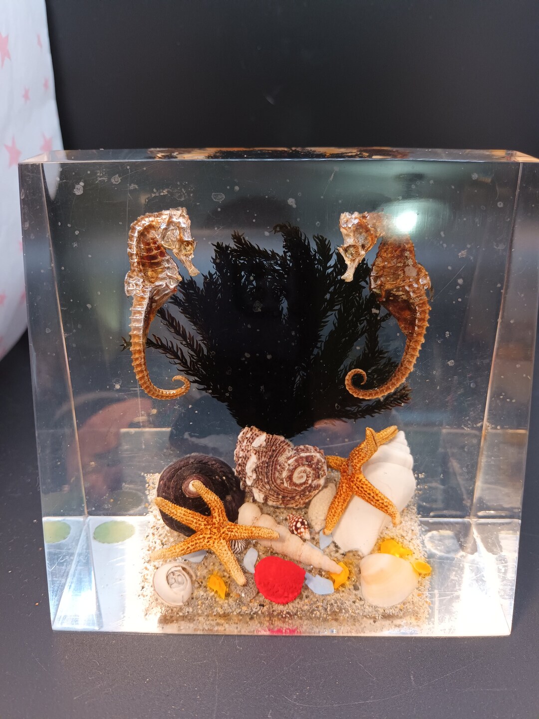 Vintage 1960s Clearfloat Lucite Seahourse Bookend or Paperweight - Etsy