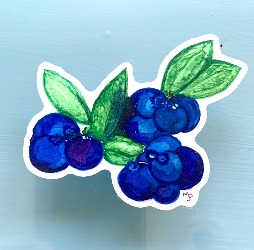Waterproof Blueberry Sticker - Etsy