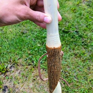 Ash Walking Stick Hand-carved From Natural Hardwood, Personalisable ...