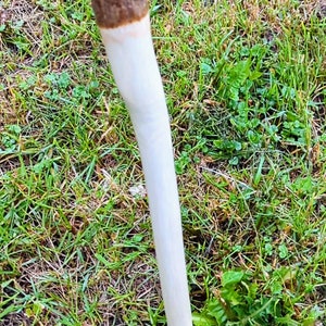 Ash Walking Stick Hand-carved From Natural Hardwood, Personalisable ...
