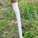 Ash Walking Stick Hand-carved From Natural Hardwood, Personalisable ...