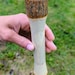 Ash Walking Stick Hand-carved From Natural Hardwood, Personalisable ...