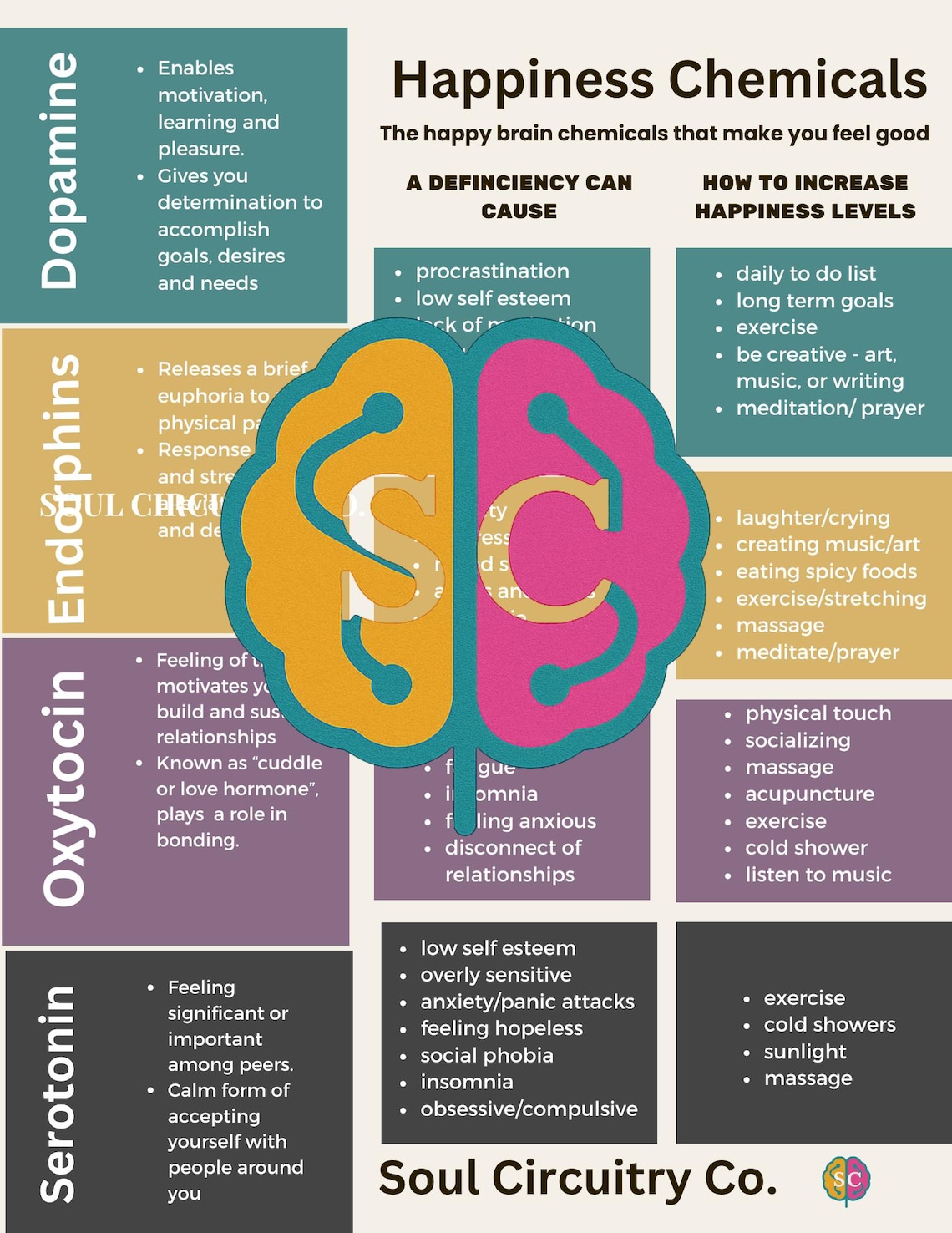 Christian Brain Chemistry Guide | Faith-based Emotional Regulation ...