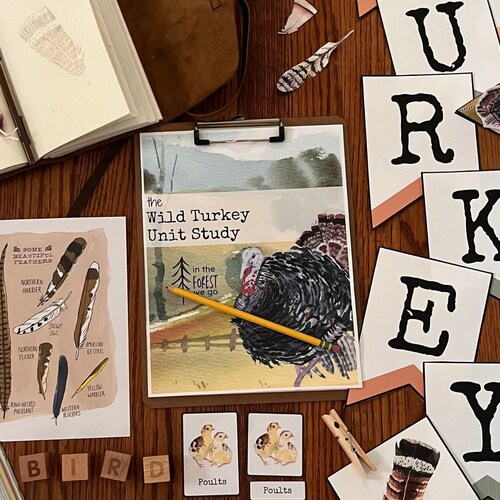 Wild Turkey Unit Study Nature Study Morning Basket Fall - Etsy