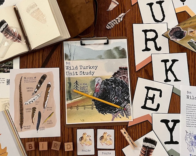 Wild Turkey Unit Study Nature Study Morning Basket Fall - Etsy