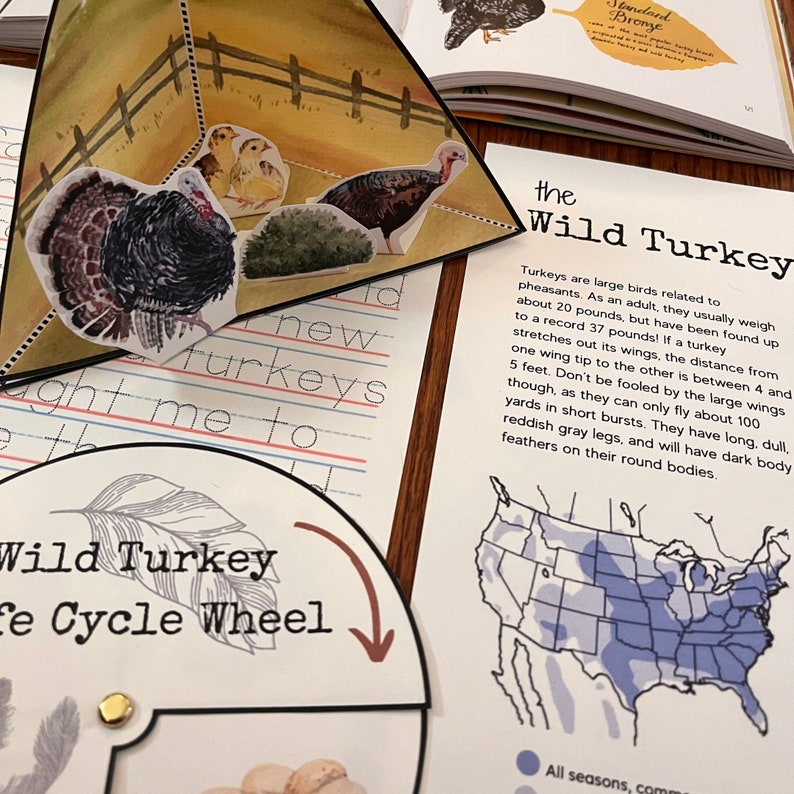 Wild Turkey Unit Study | Nature Study, Morning Basket, Fall ...