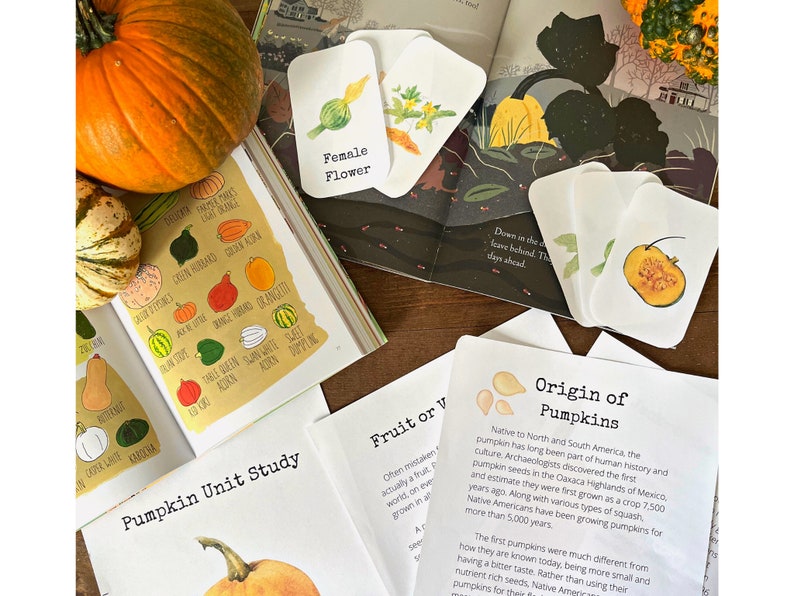 Pumpkin Unit Study | Printables, Homeschool Learning Materials, Nature ...