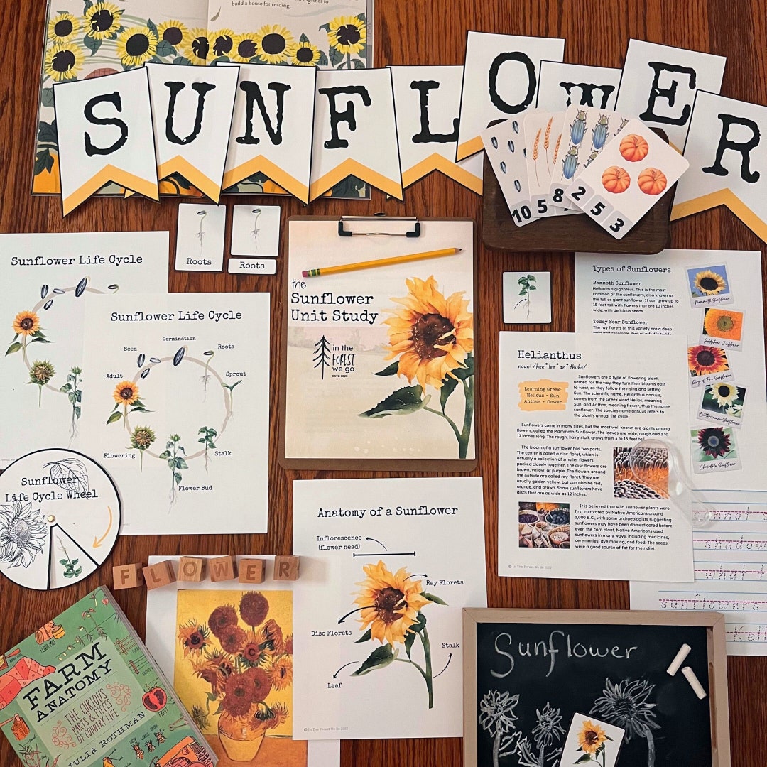 Sunflower Unit Study | Printables, Learning Materials, Morning Basket ...