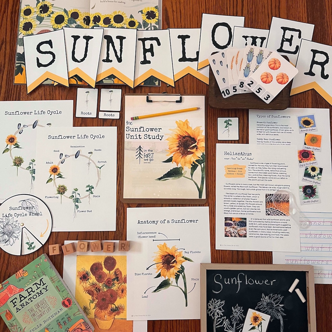 Sunflower Unit Study | Printables, Learning Materials, Morning Basket ...